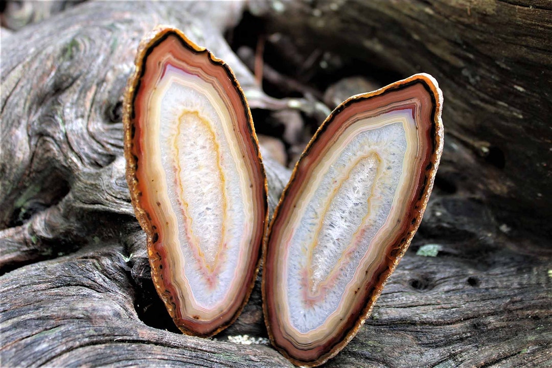 Pair Agate Slabs/slices Polished and Matched From - Etsy