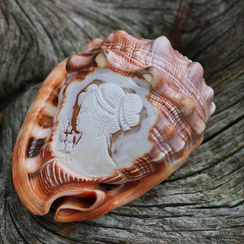 Italian Cameo - Etsy