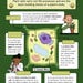 Plant Cell Structure - Printable Science Worksheet - Etsy