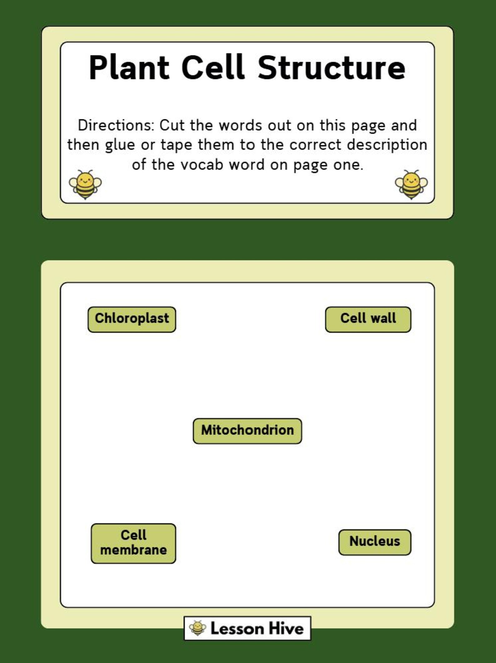 Plant Cell Structure - Printable Science Worksheet - Etsy