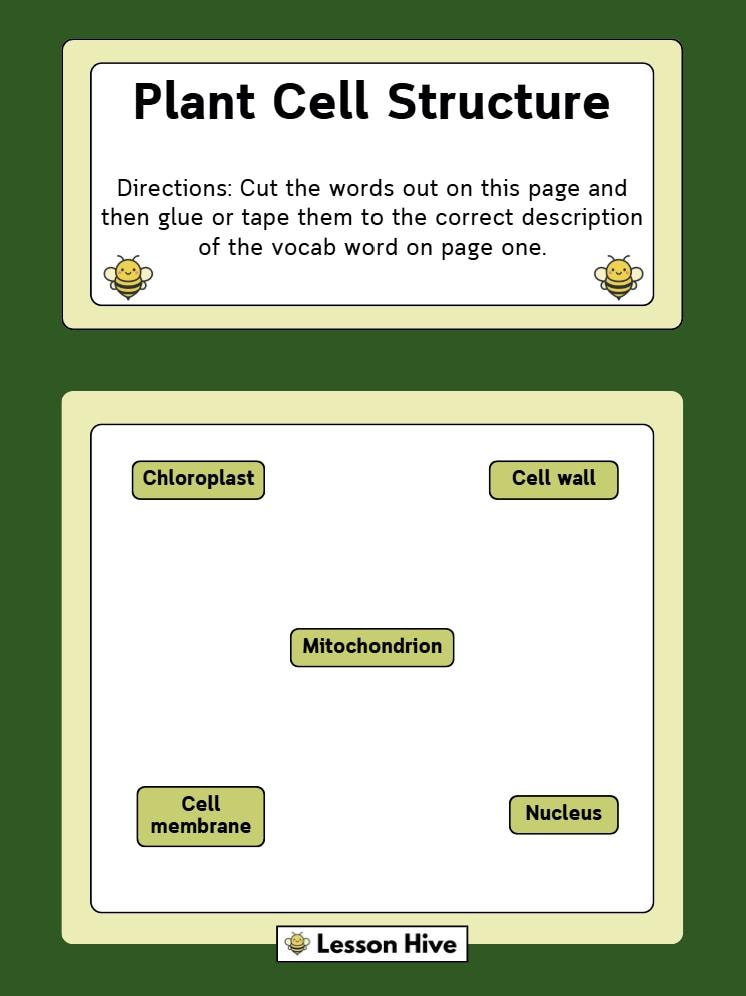Plant Cell Structure - Printable Science Worksheet - Etsy