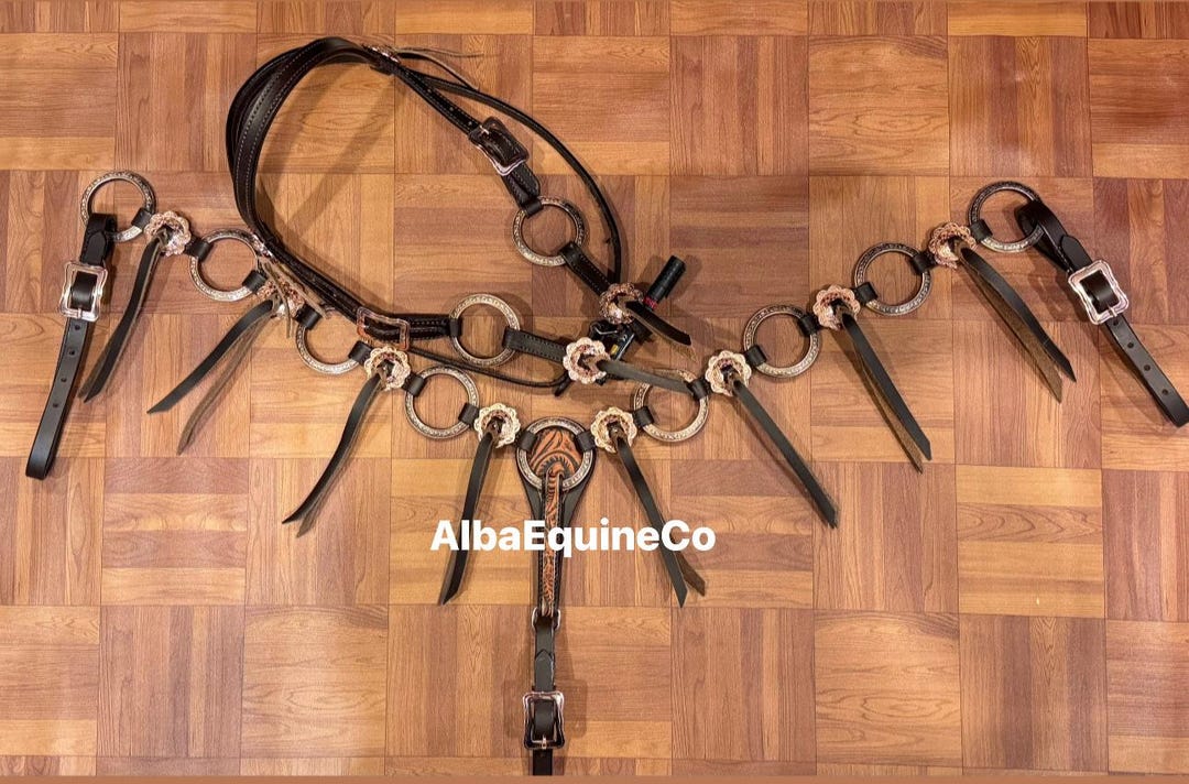 Western Brown Leather Ring Tack Set of Headstall and Breast Collar With ...