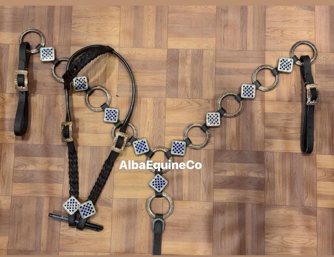 Western Brown Leather Ring Tack Set of Headstall and Breast Collar With ...