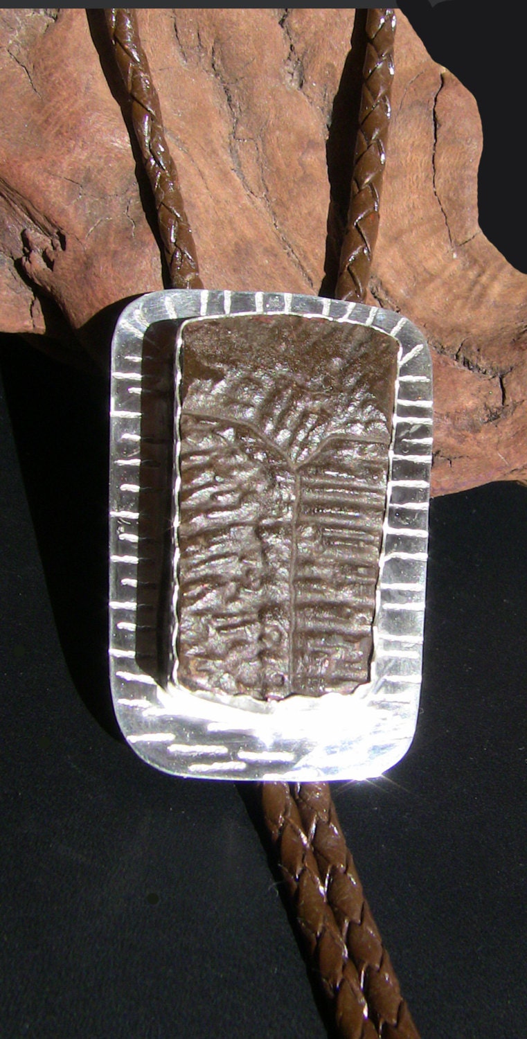 Reptilian Bolo Tie: Fossil Turtle Shell W/snake Tips - Etsy