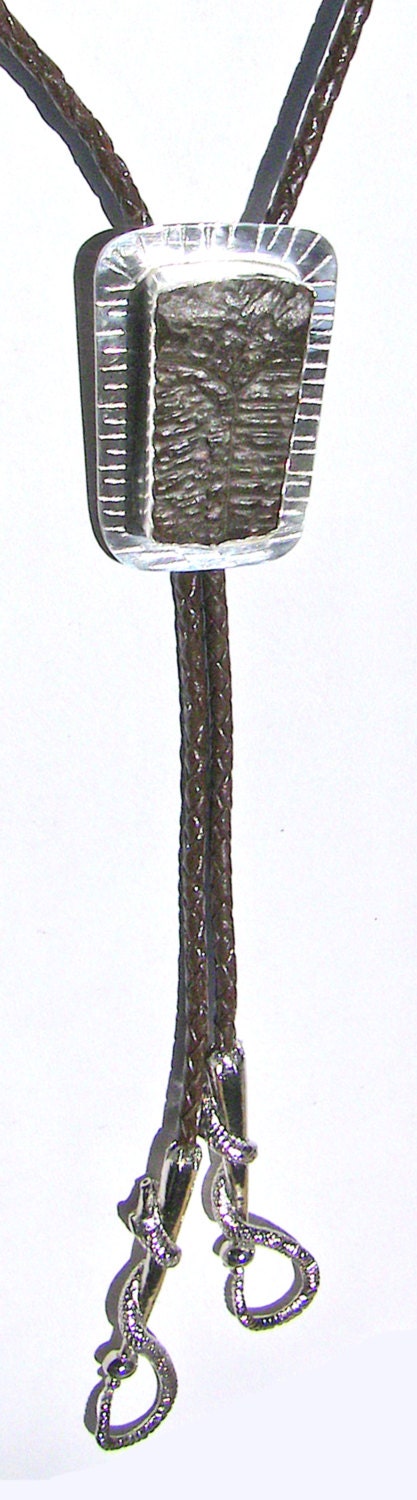 Reptilian Bolo Tie: Fossil Turtle Shell W/snake Tips - Etsy
