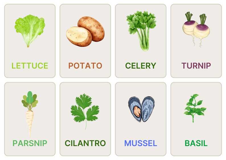 Vegetable Flashcards for Kids | Printable Learning Cards | Toddler ...