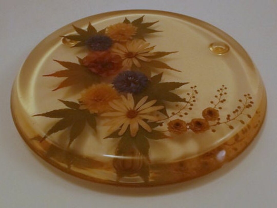 Vintage Trivet, Lucite Trivet With Dried Flowers, Jeanne Ocher ...
