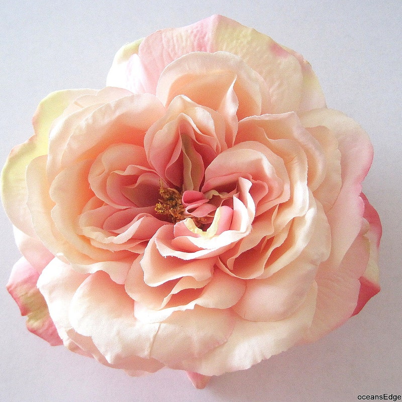 Pink Rose Silk Buttons - Etsy UK