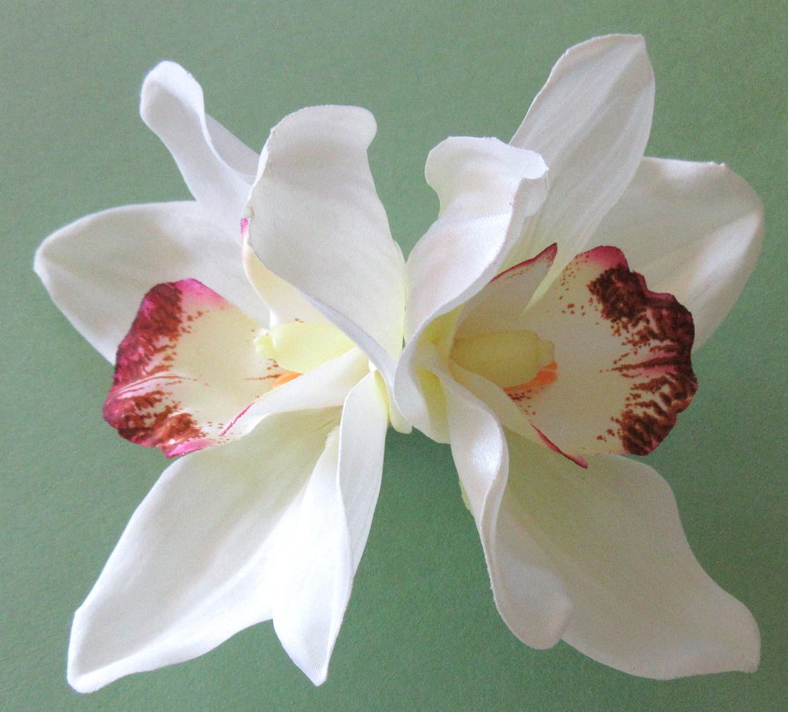 Large Double 4.5" Cream White Orchid Poly Silk Flower Hair Clip - Etsy