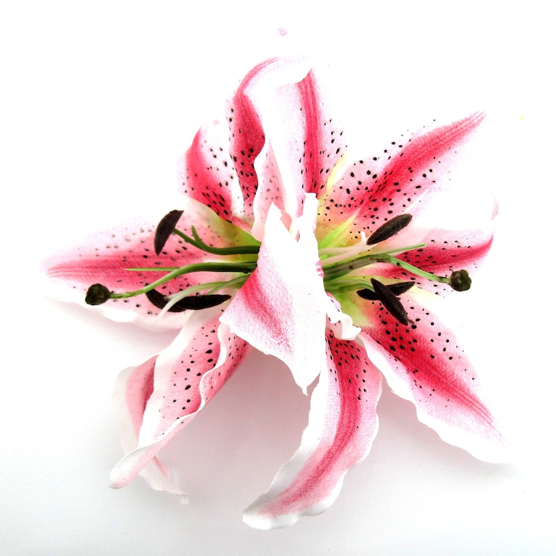 Tiger Lily Claw Clip - Etsy
