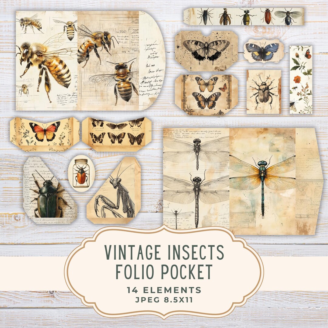 Folio Kit Vintage Insects Junk Journal, Bee Printable Pages, Butterfly ...