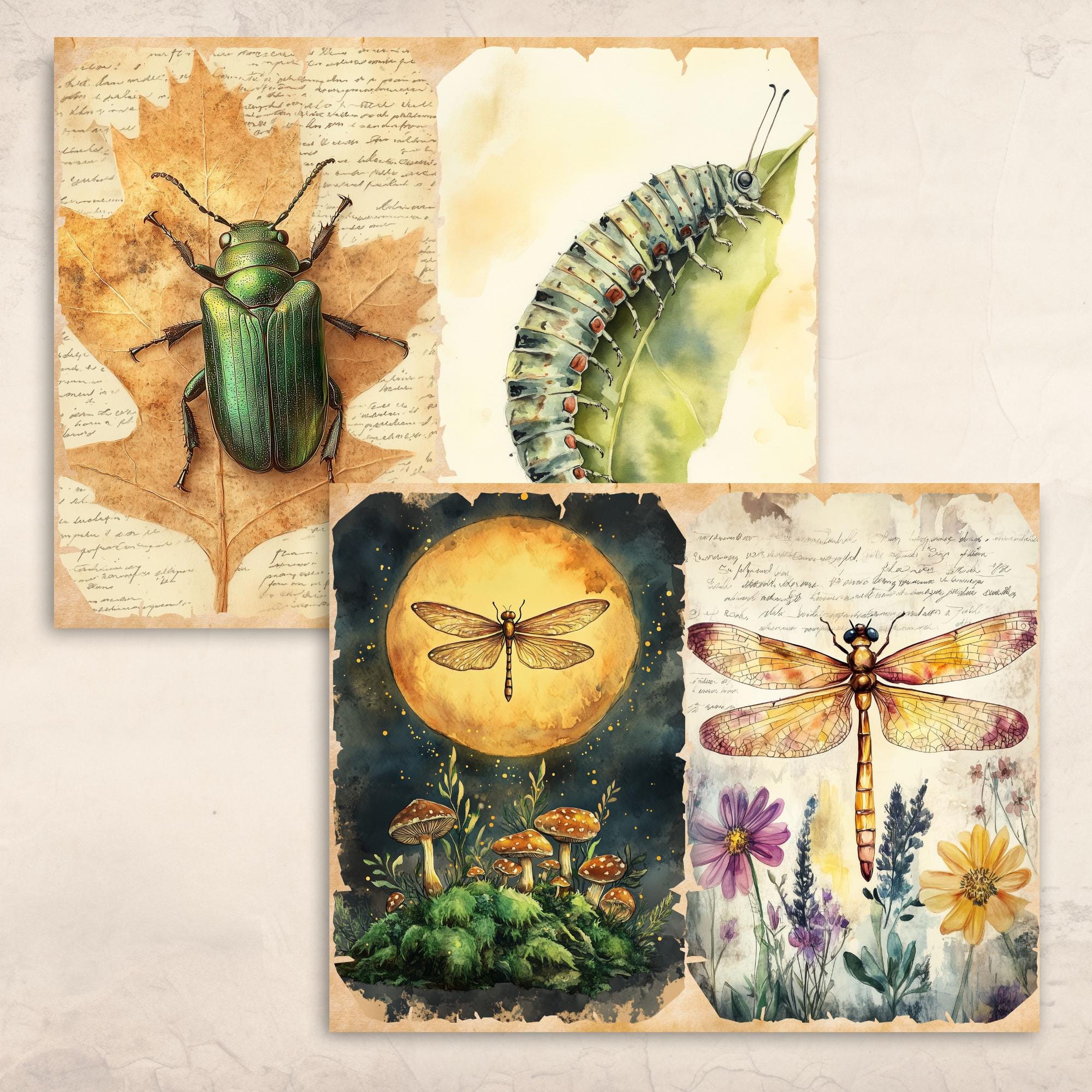Insects Junk Journal Pages | Botanical Digital Paper | Vintage ...