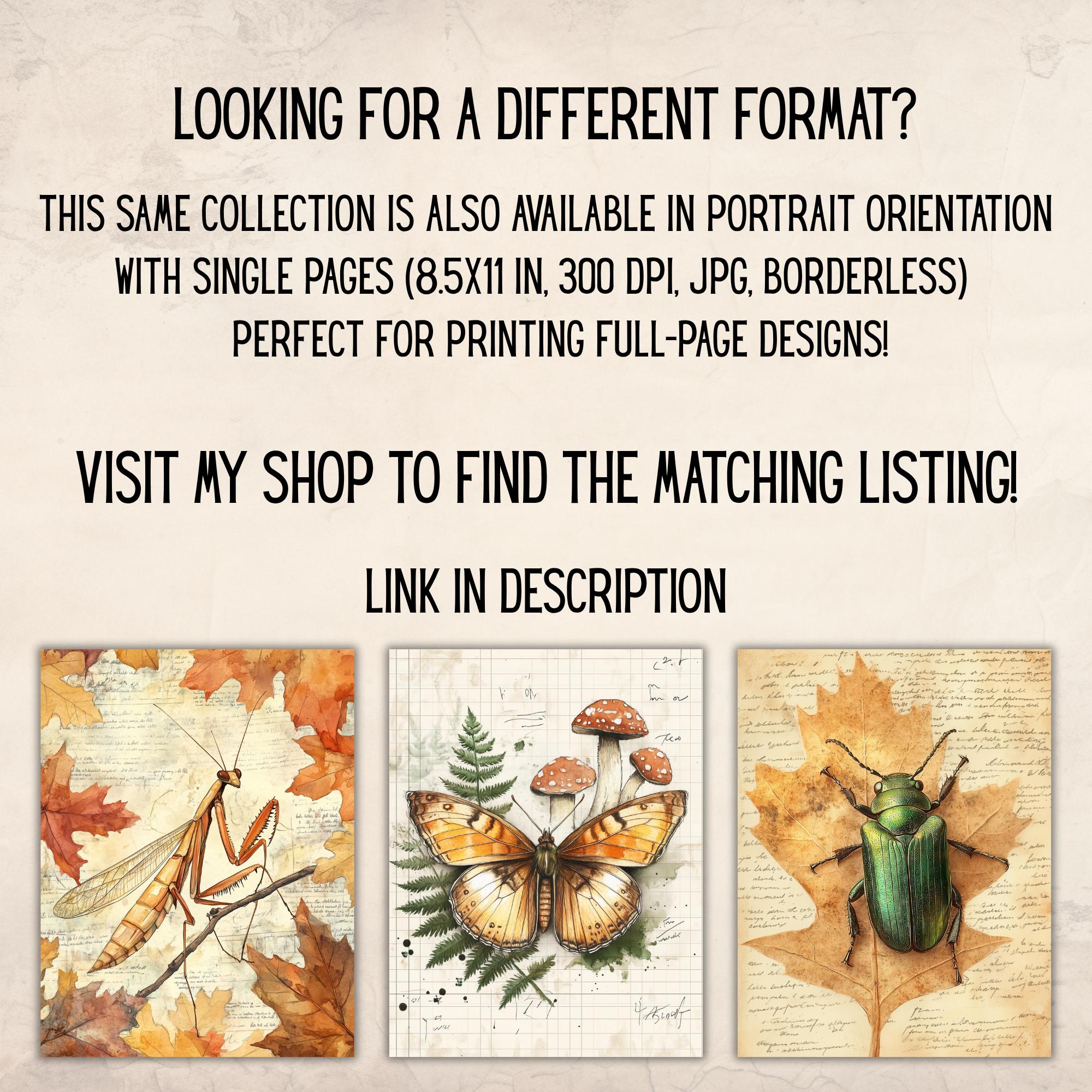 Insects Junk Journal Pages | Botanical Digital Paper | Vintage ...