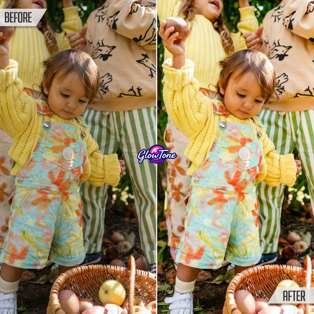 Collection of True Color Presets ,presets for Lightroom, True to Color ...