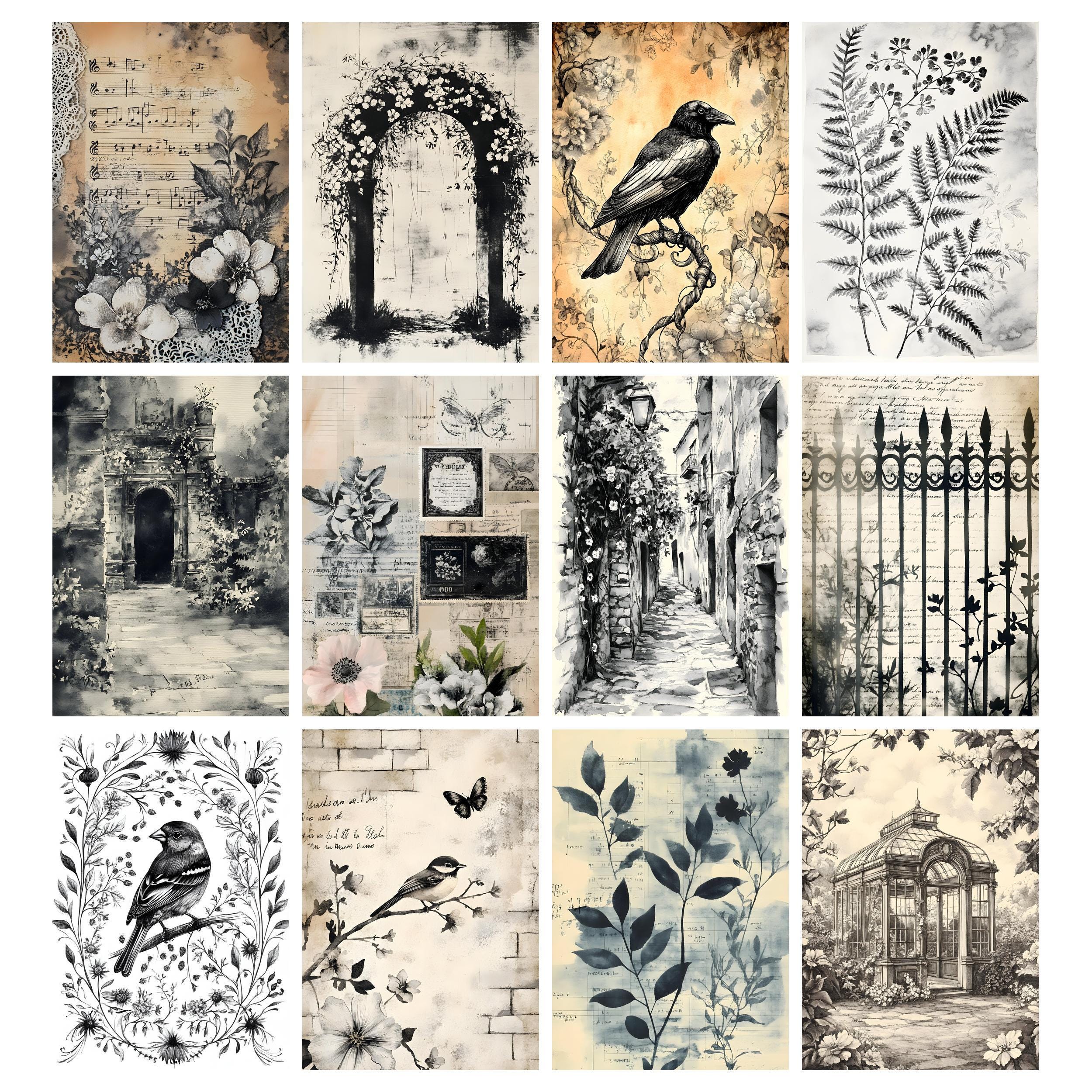 Black White Paper, Ink Saver Printable Stamp Pages, Grunge Botanical ...