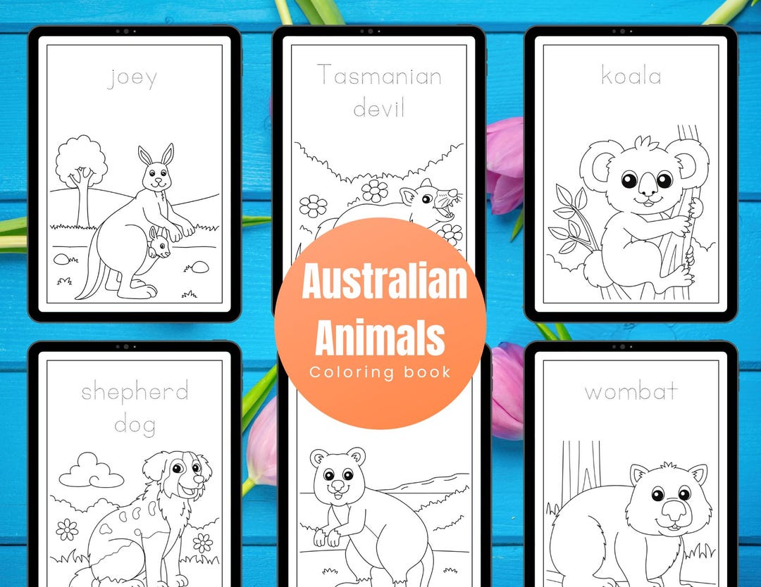 Australian Animals Coloring Book, Koala Kangaroo Wombat Pages (digital ...