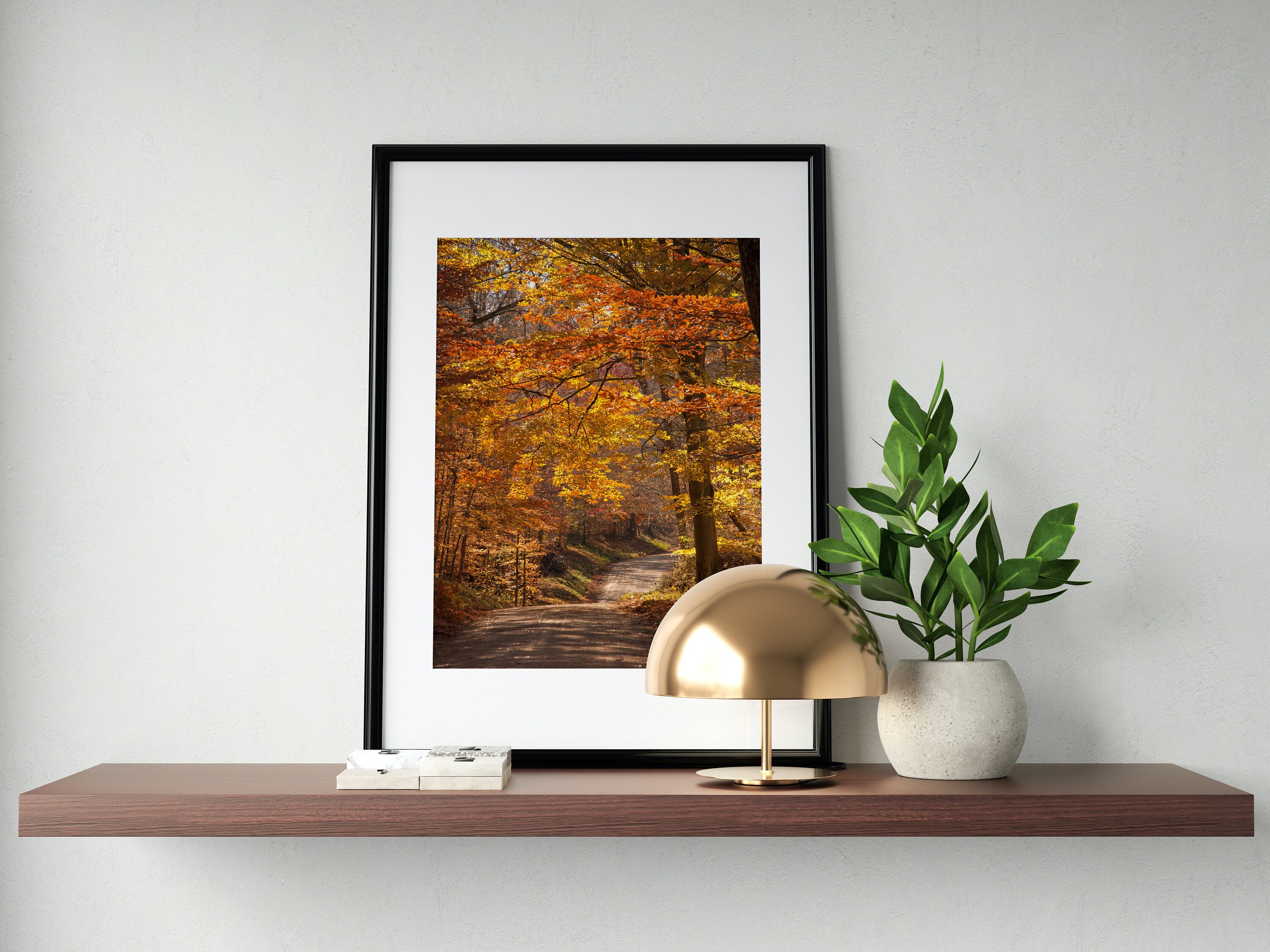 Digital Photo Download - Amish Country Fall, Autumn, Back Roads ...