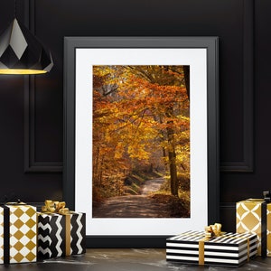Digital Photo Download - Amish Country Fall, Autumn, Back Roads ...