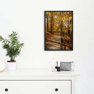Digital Photo Download - Fall Path, Autumn, Trees, Forest, Walk in the ...