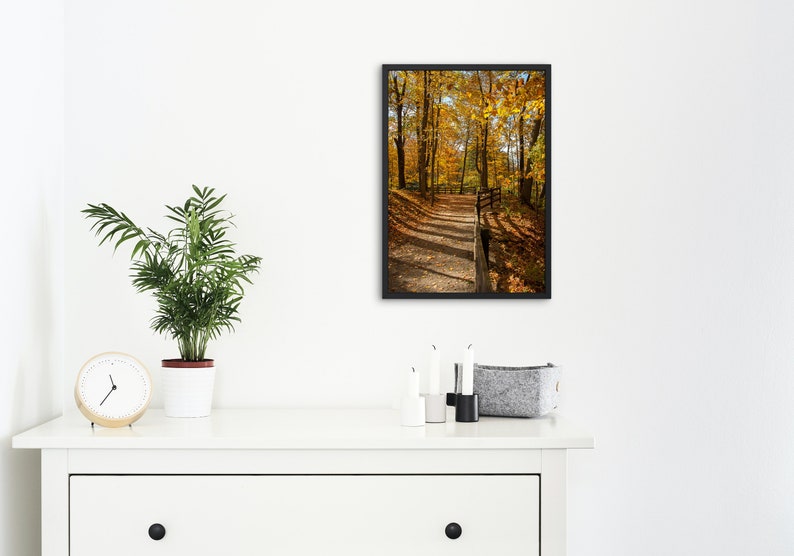 Digital Photo Download - Fall Path, Autumn, Trees, Forest, Walk in the ...