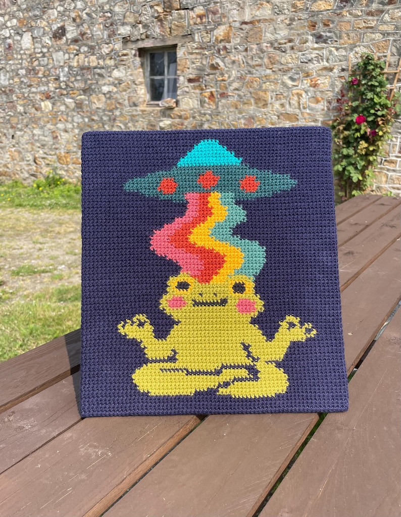 Tapestry Crochet Pattern - Small Funny Space Frog Pattern - Etsy