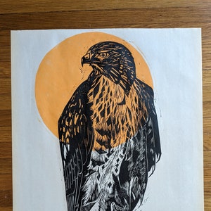Red Tailed Hawk Original Handmade Large Linocut Print Linoleum Carved ...