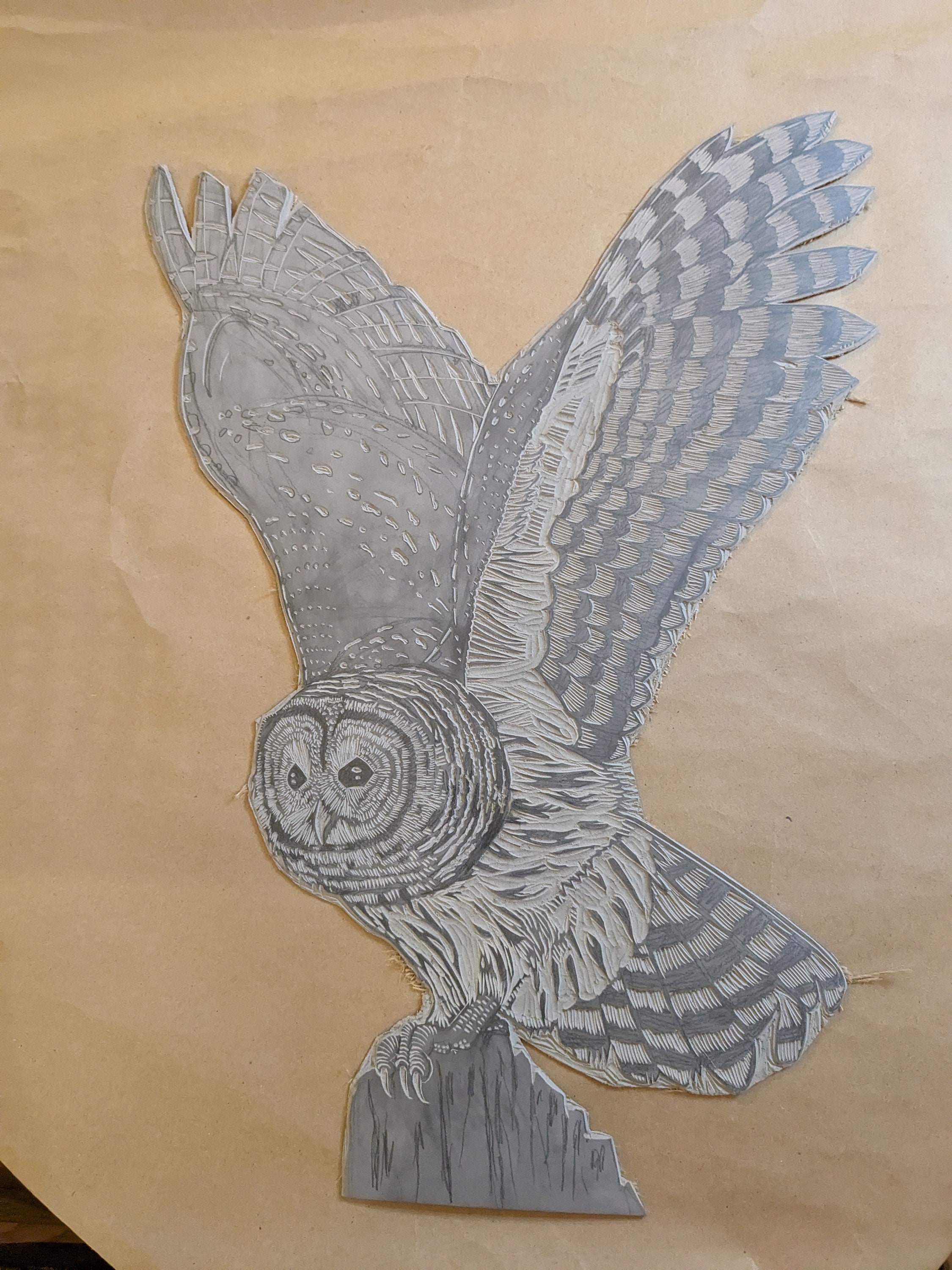 Barred Owl Original Handmade Linocut Print Linoleum Block Print - Etsy