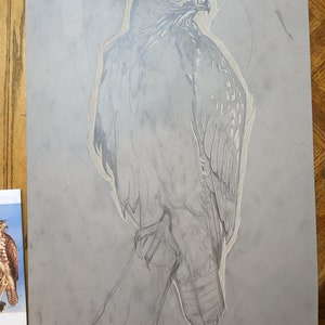 Red Tailed Hawk Original Handmade Large Linocut Print Linoleum Carved ...