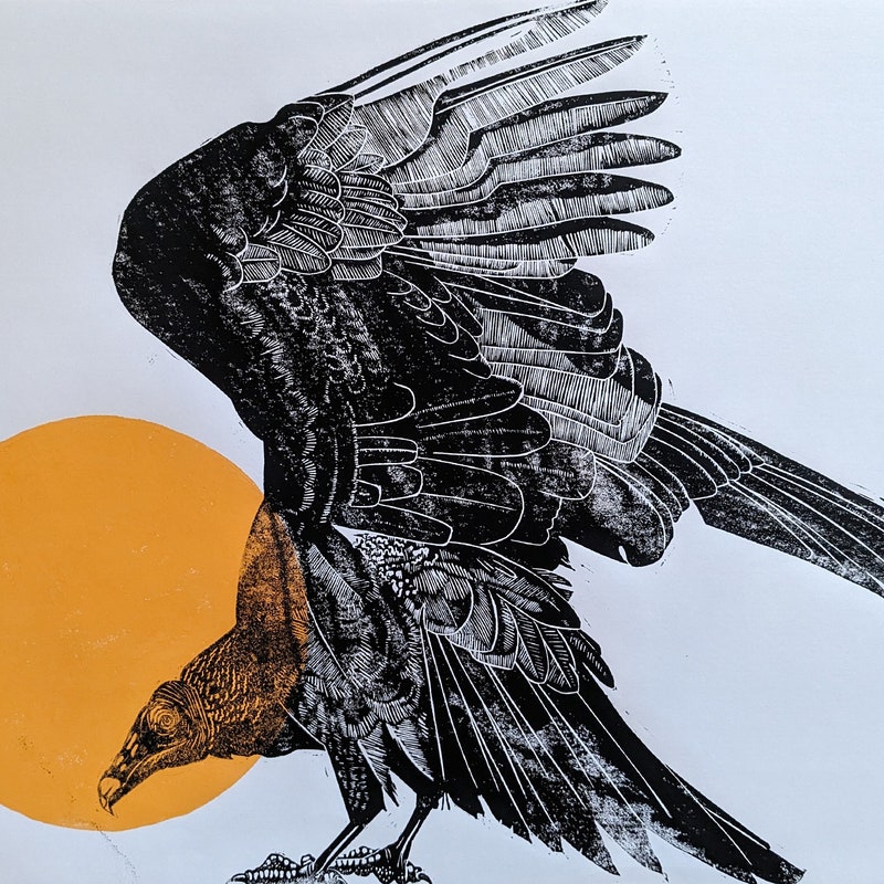 Turkey Vulture Print - Etsy