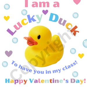 Printable | Lucky Duck | Valentine's Day Card Kids Classroom Rubber ...