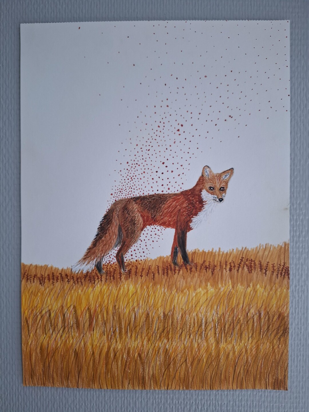 Red Fox Poster - Vulpes Vulpes - Etsy