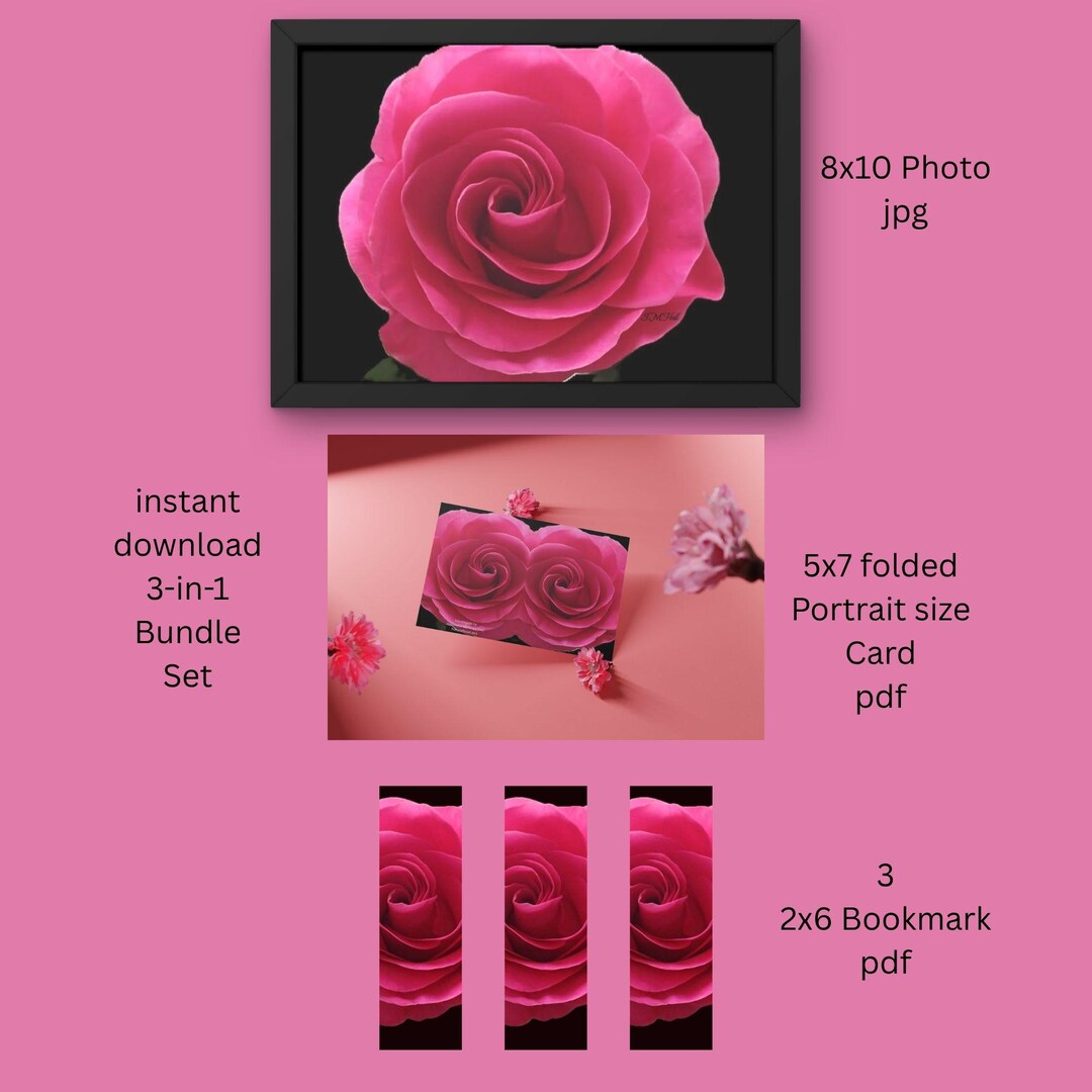 Macro Rose Photography Print Bundle, Greeting Card, Bookmark (digital ...