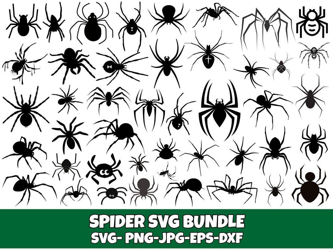 Halloween Spider SVG Bundle: Spider Clipart, Cut Files (digital ...