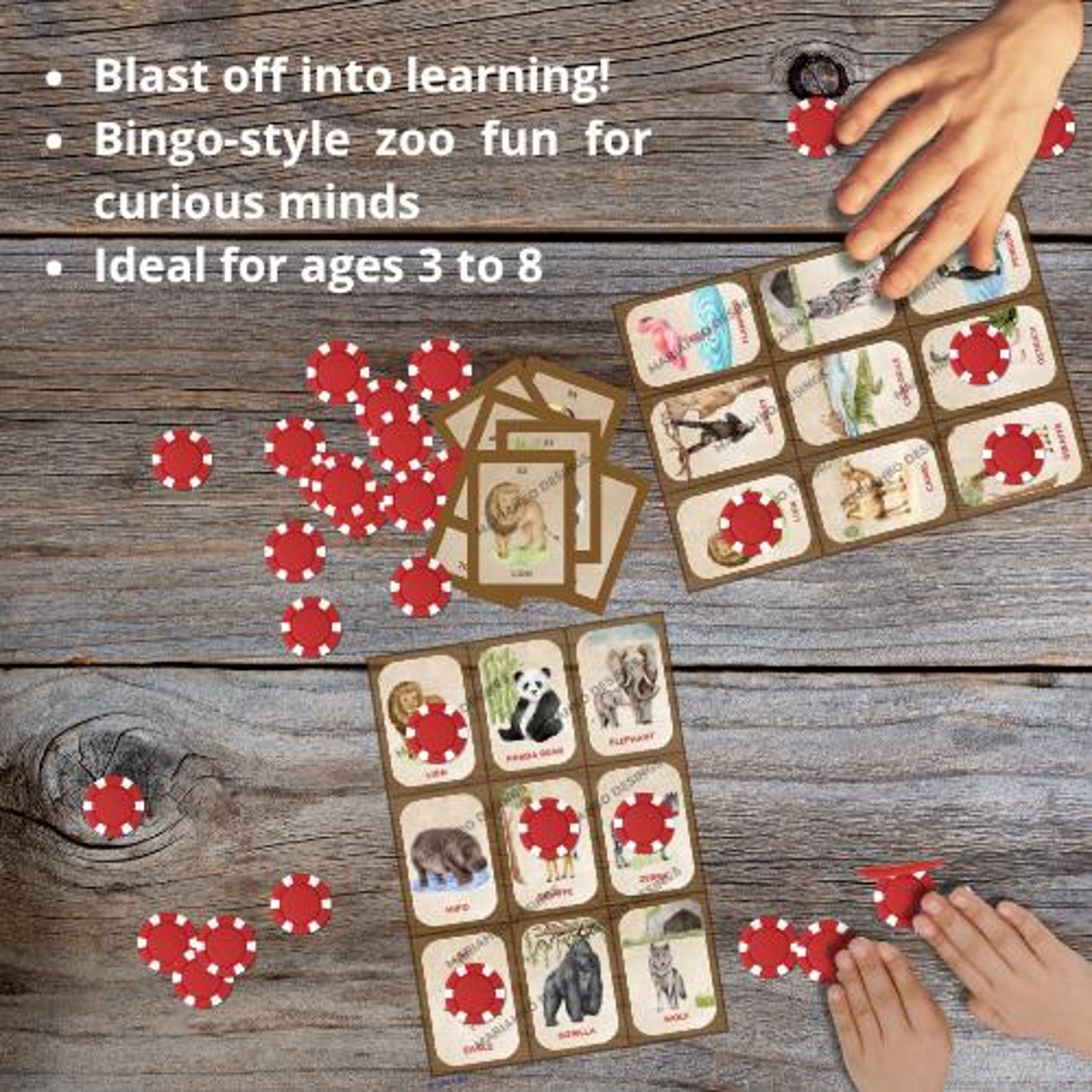 Zoo Animal Bingo Game – Printable Kids Activity | Preschool Educational ...