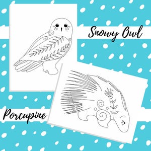 Arctic Animal Coloring Pages Relaxing Adult Coloring Sheets Printable ...