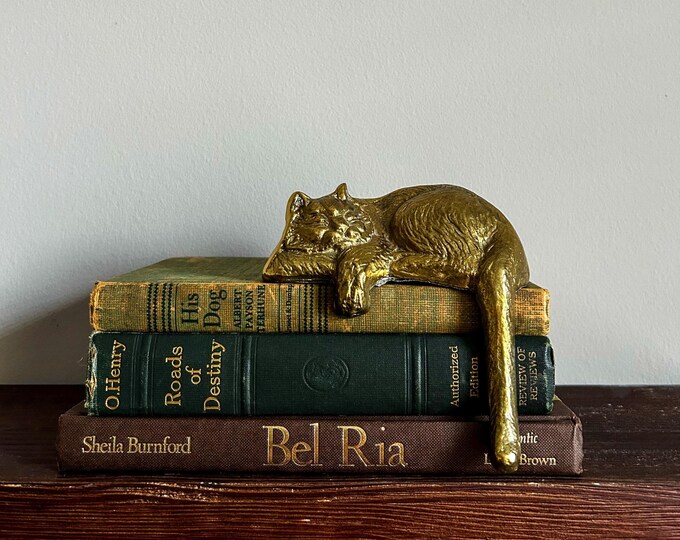 Vintage Book Stack Book Shelf Decor Cat Lover Introvert Vintage Home ...