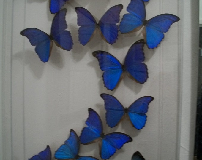 18x28x3 Inch Blue Butterfly Wall Panel - Etsy
