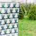 Evergreen Quilt Pattern PDF Download - Etsy