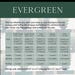 Evergreen Quilt Pattern PDF Download - Etsy