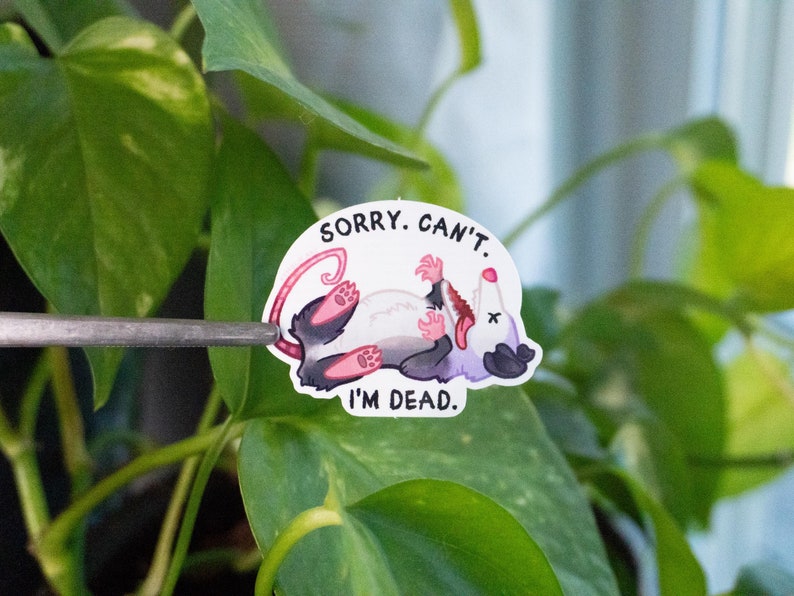 Sorry. Can't. I'm Dead. Opossum Sticker / Glossy Vinyl Waterproof ...