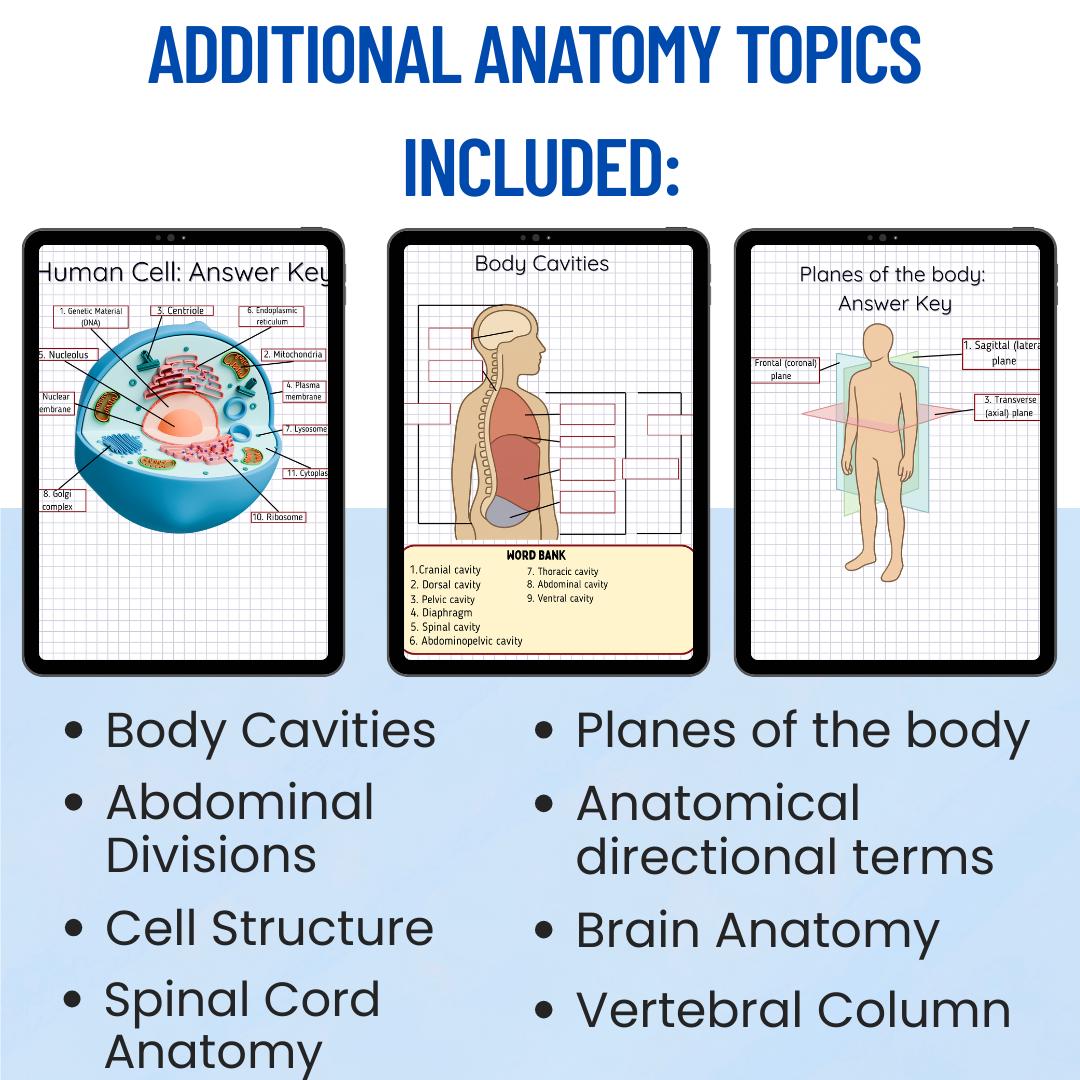 Human Anatomy Labeling Workbook: 40+ Printable Pages for Medical Study ...
