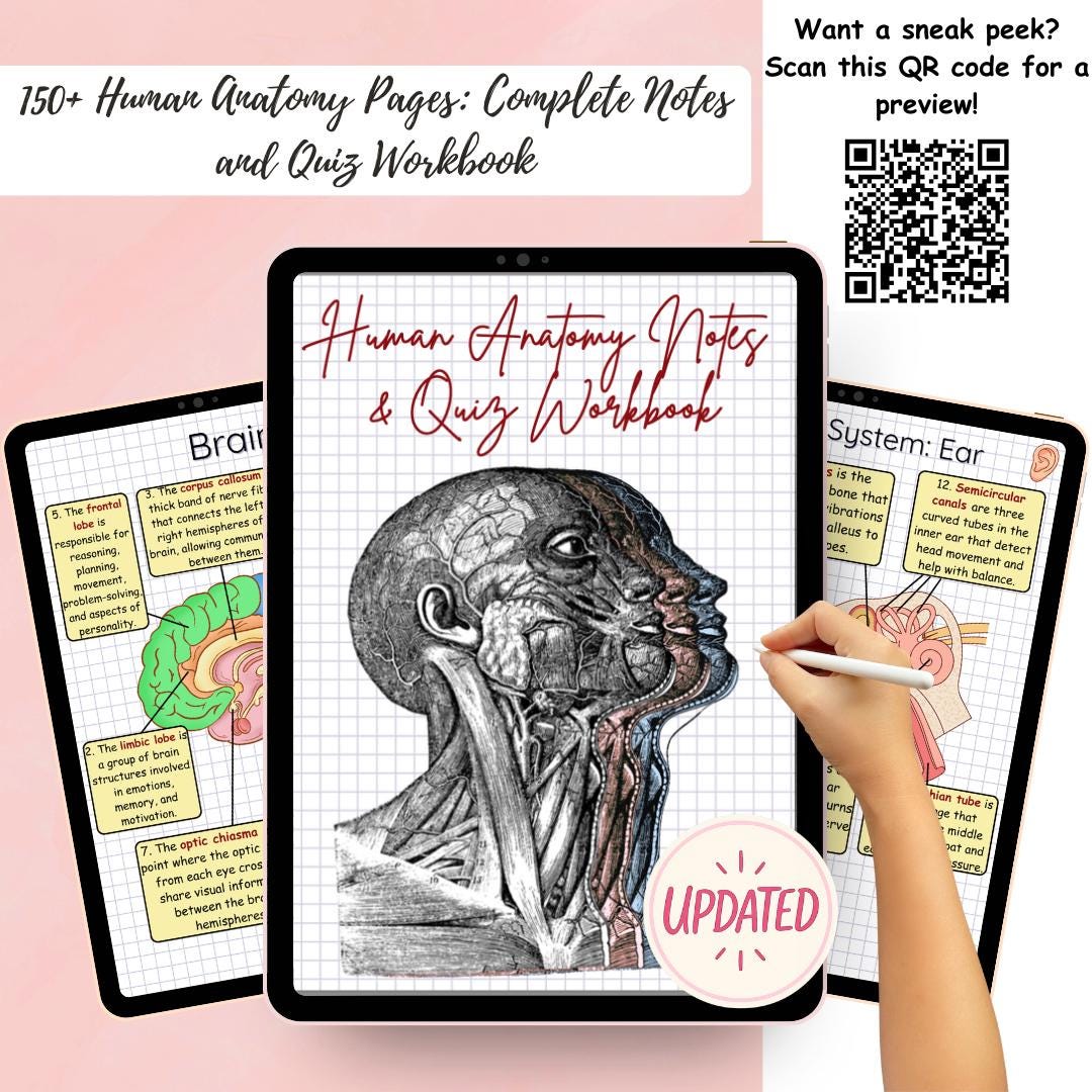 Human Anatomy Study Guide: 150+ Printable Notes & Quizzes (digital ...