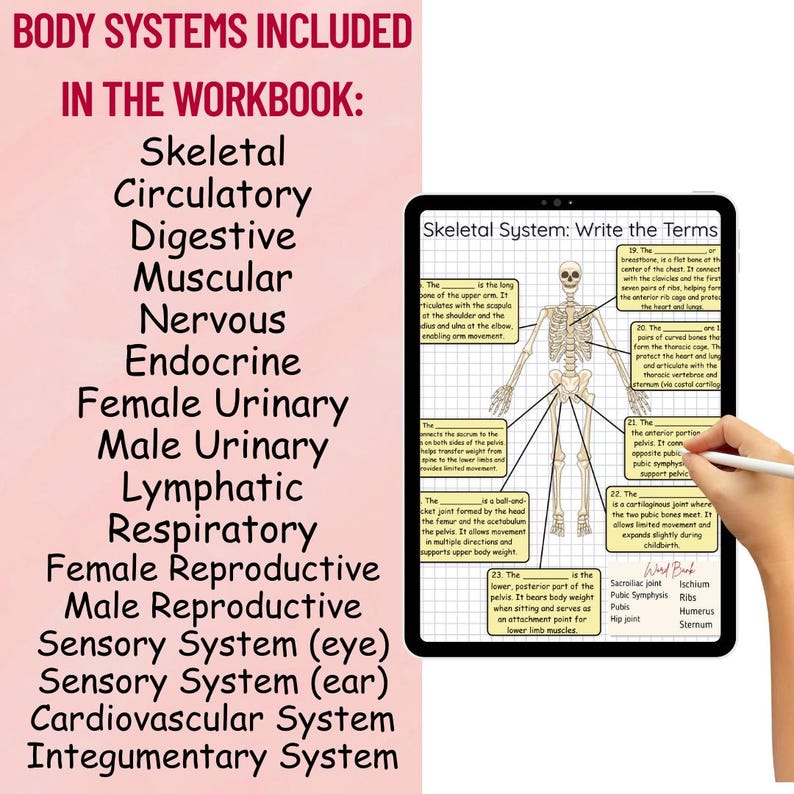 Human Anatomy Study Guide: 150+ Printable Notes & Quizzes (digital ...