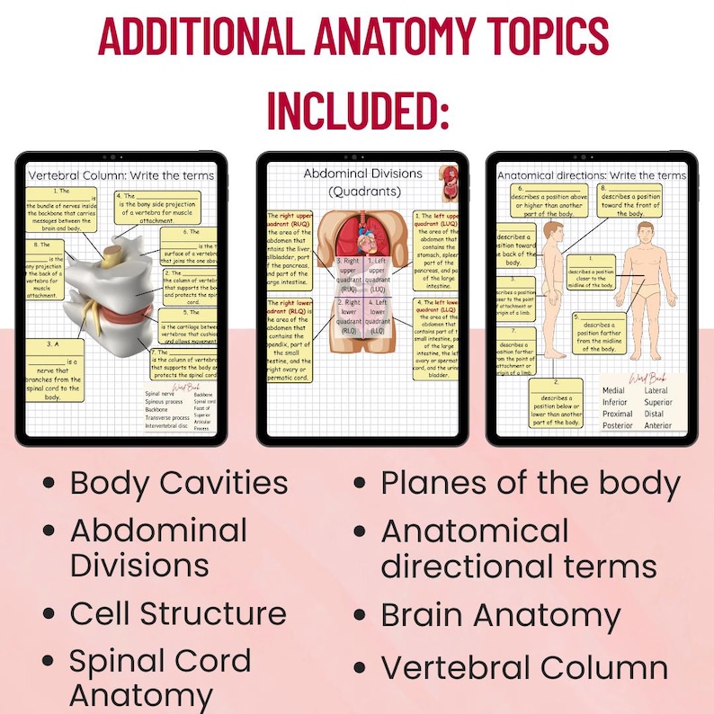 Human Anatomy Study Guide: 150+ Printable Notes & Quizzes (digital ...