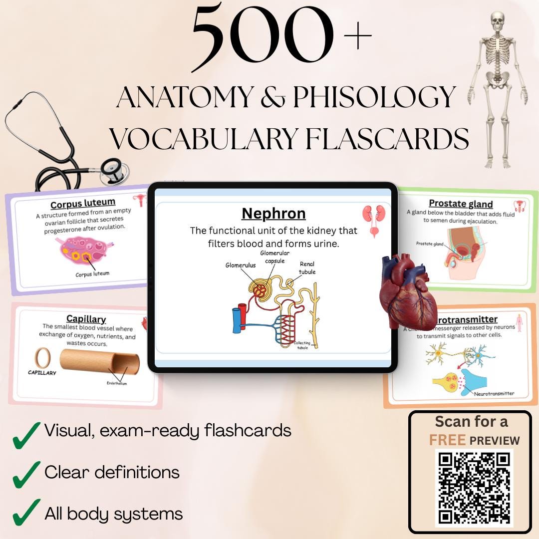 Anatomy & Physiology Vocabulary Flashcards | 500+ Terms | 12 Body ...