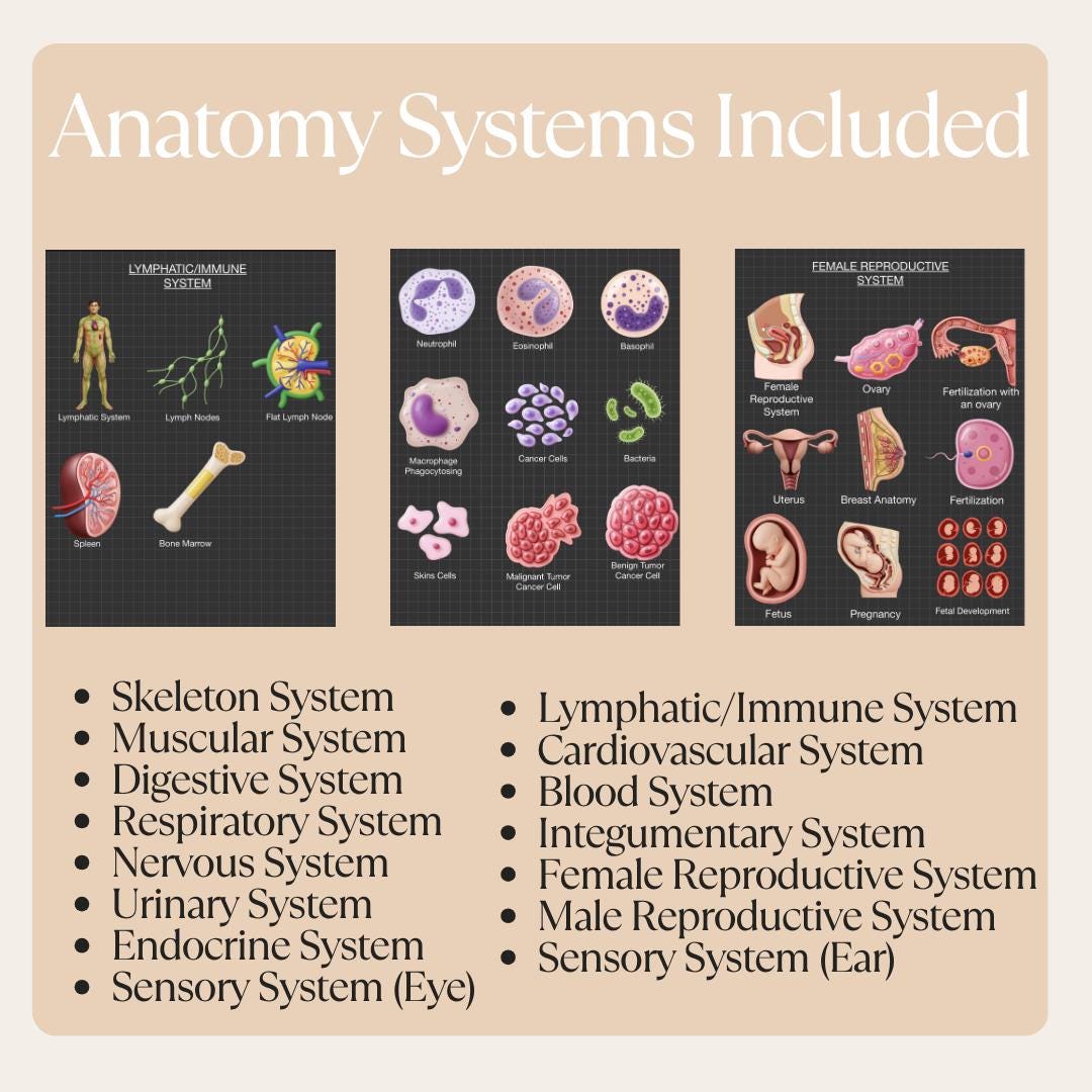 Anatomy Stickers, Human Body Systems, Digital Medical Stickers for ...
