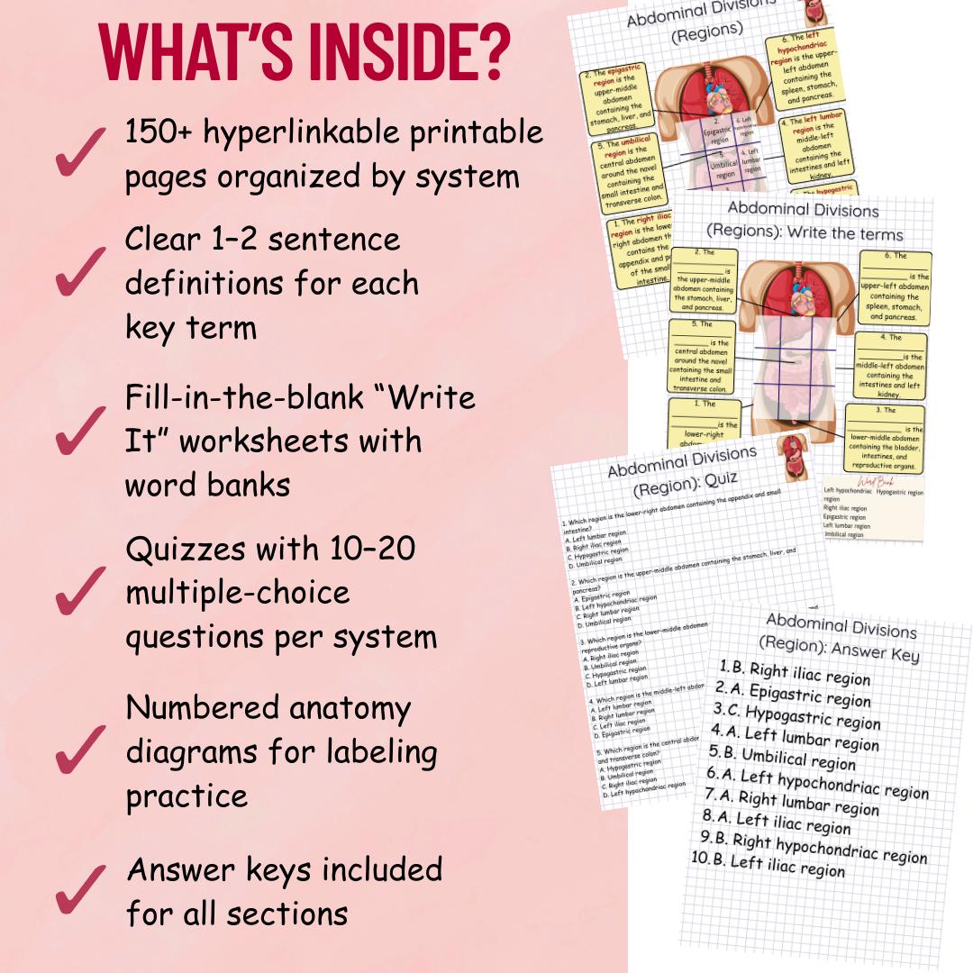 Human Anatomy Study Guide: 150+ Printable Notes & Quizzes (digital ...