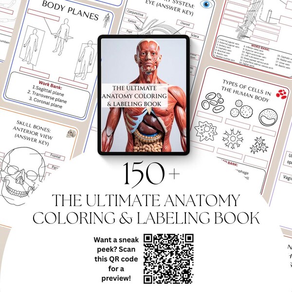 Human Anatomy Printable - Etsy