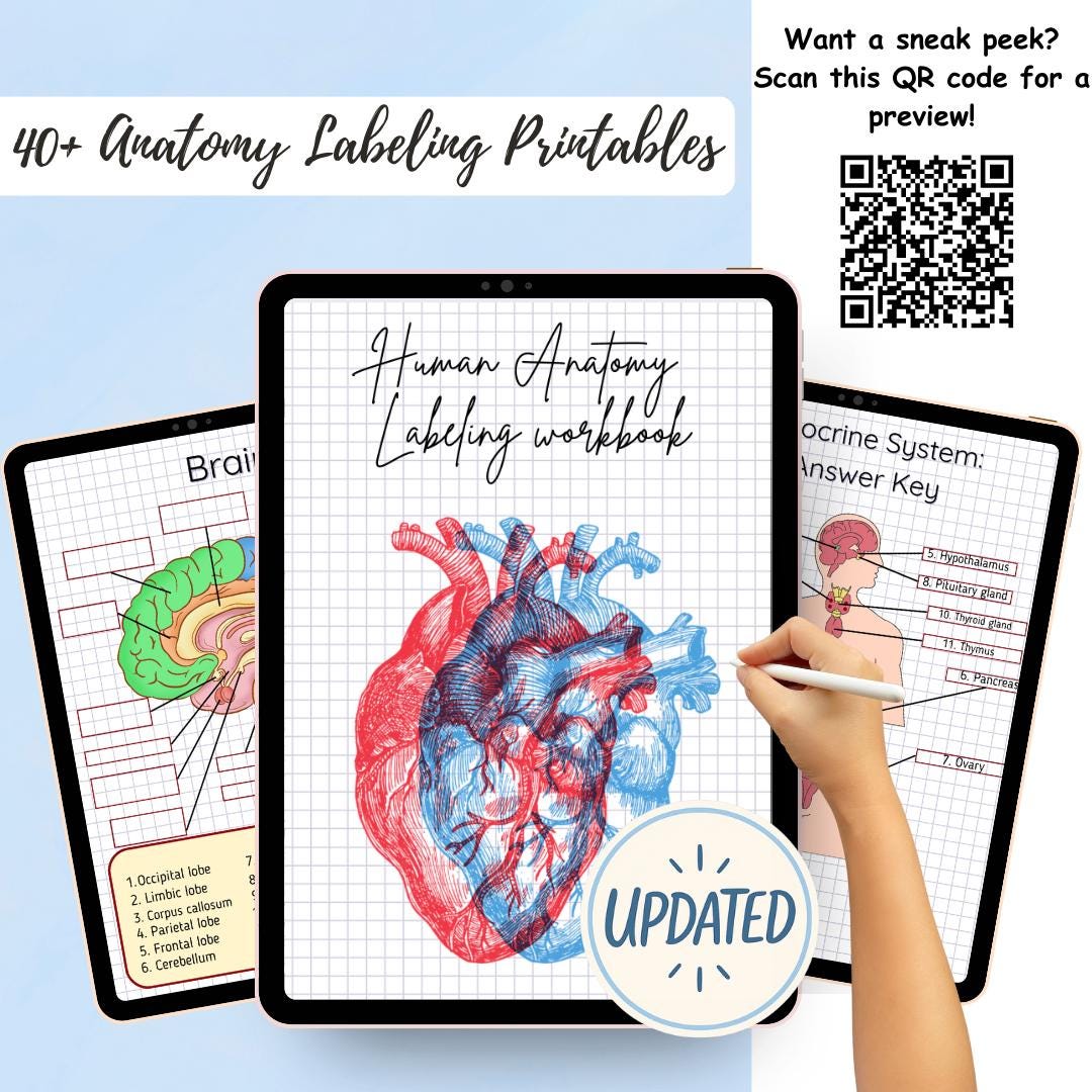 Human Anatomy Labeling Workbook: 40+ Printable Pages for Medical Study ...