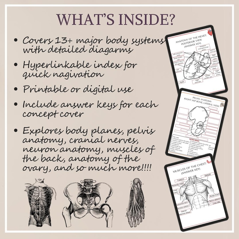 The Ultimate Anatomy Coloring & Labeling Book: 200+ Coloring Pages ...